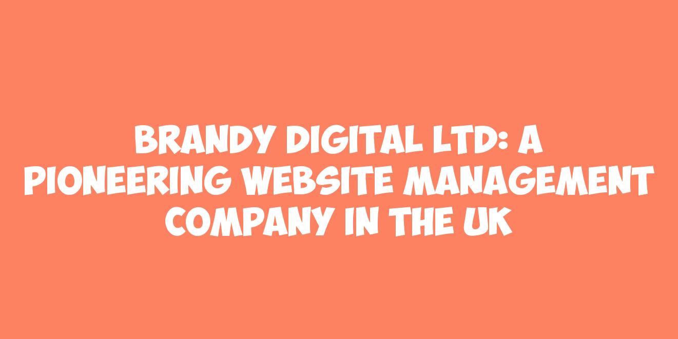 Brandy Digital Ltd: A Pioneering Website Management Company in the UK ...